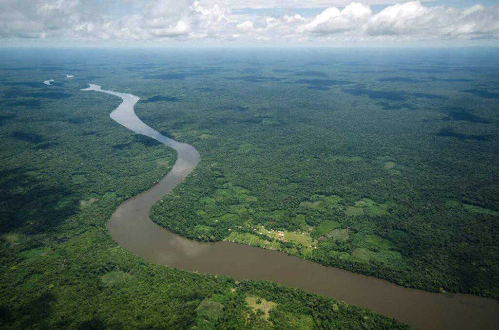 The Jaguars of Yuruparí: Shamans of the Amazon Rainforest