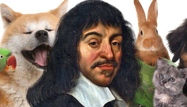 How Did Descartes View Animals?