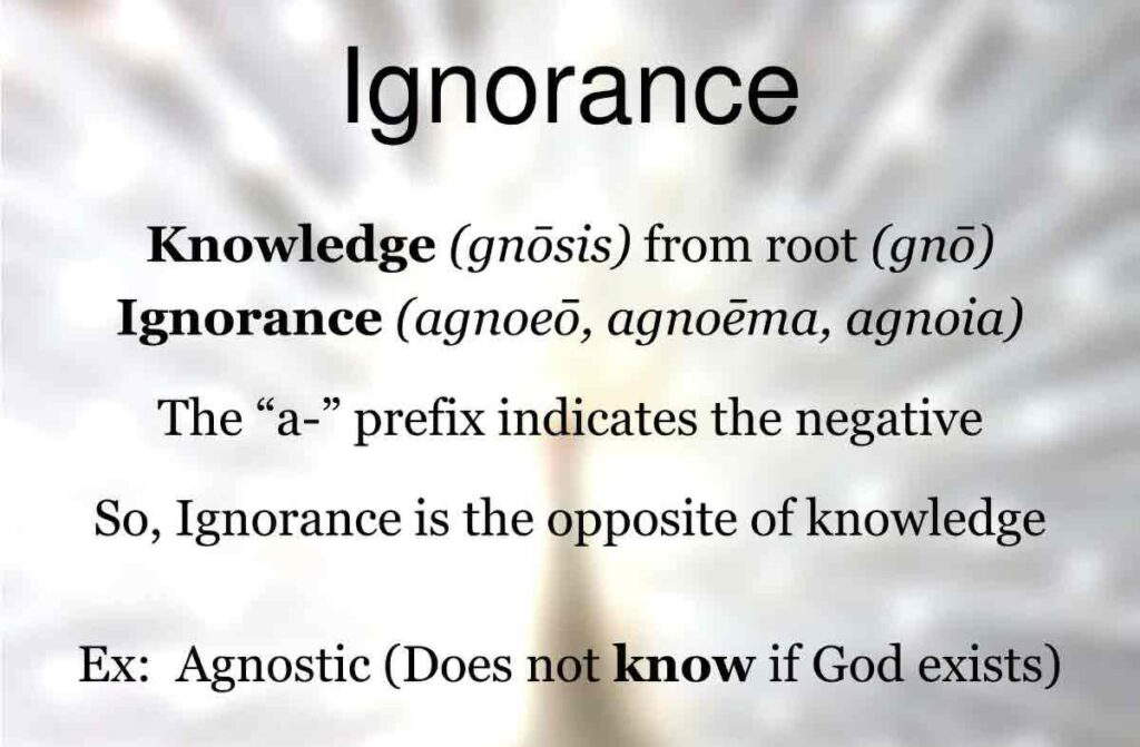 Why Should You Seek Ignorance?