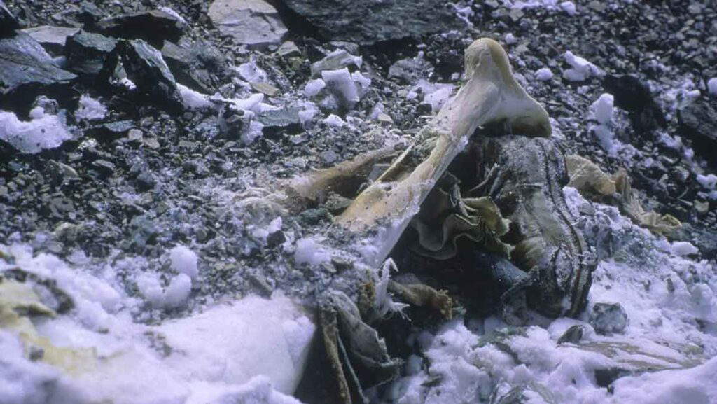 A Brief History of Mount Everest