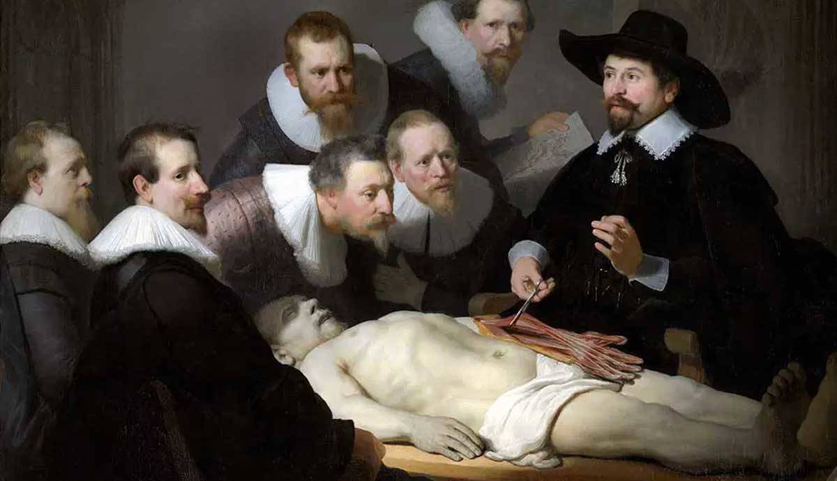 How Did Artists Learn About Anatomy During the Renaissance?