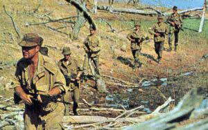 What Was the Rhodesian Bush War?