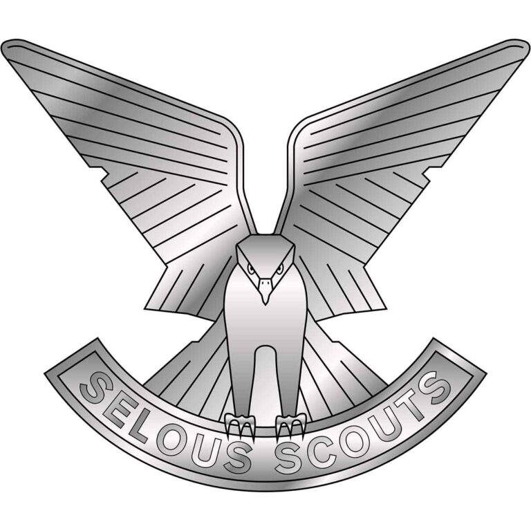 What Was the Rhodesian Bush War?