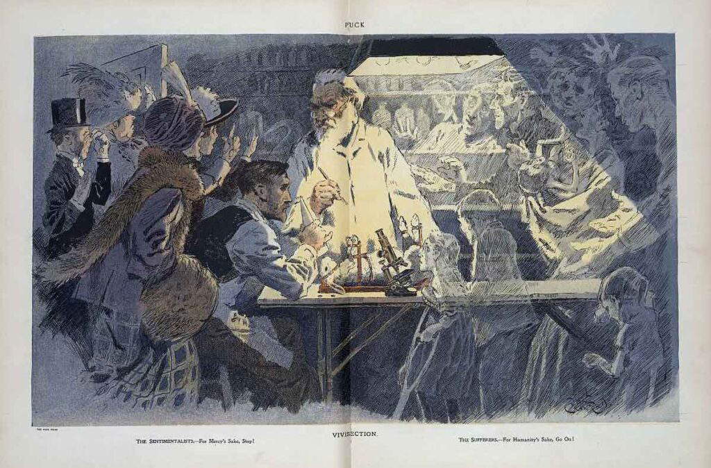 How Did Descartes View Animals?