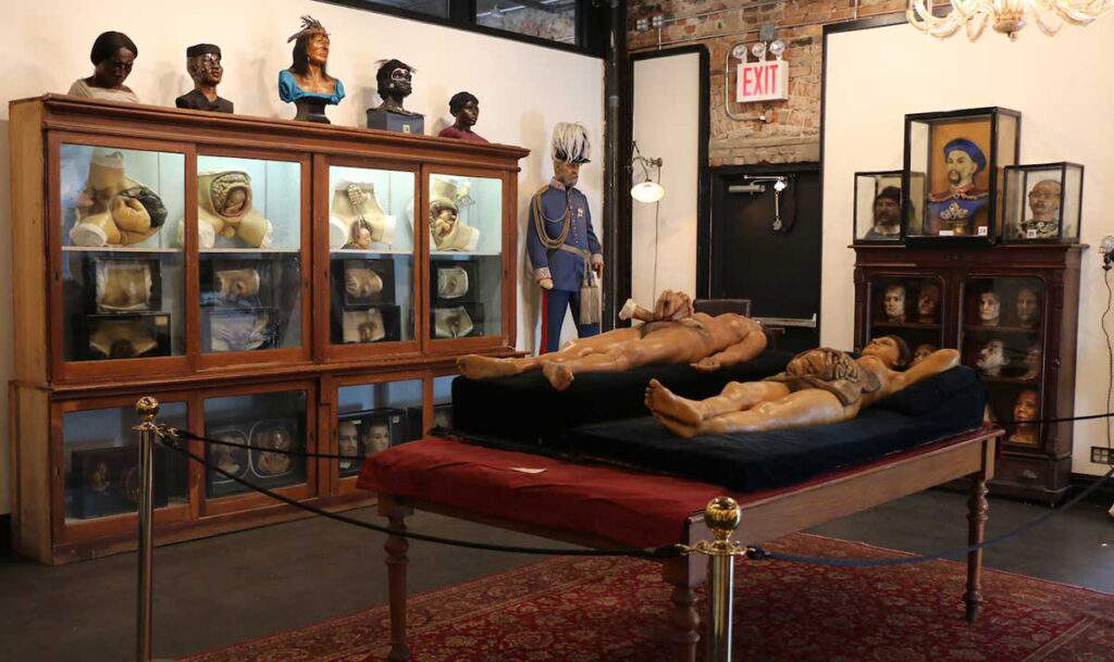 How Did Artists Learn About Anatomy During the Renaissance?