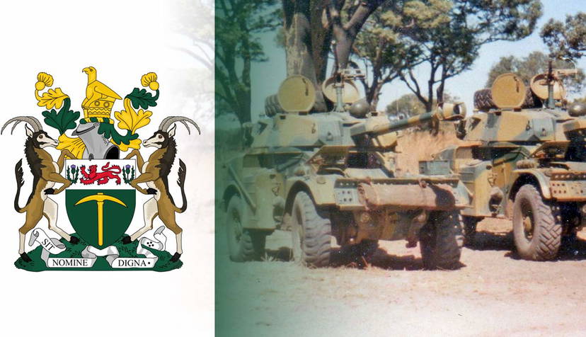 What Was the Rhodesian Bush War?