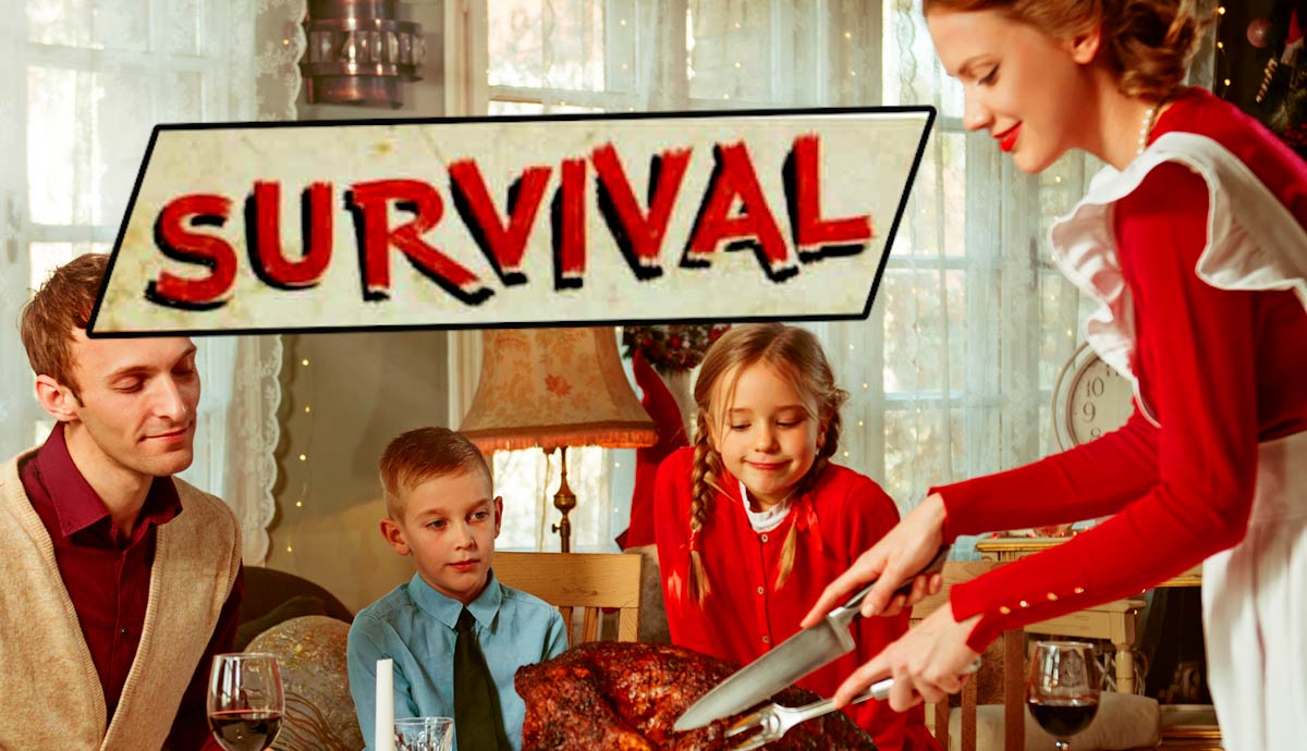 1950s American Culture: Suburbia, the American Dream, & Inequality