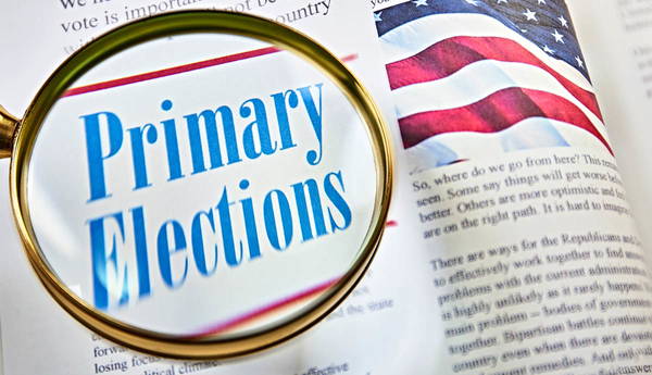 Exploring Open Primaries: How They Work and Which States Use Them