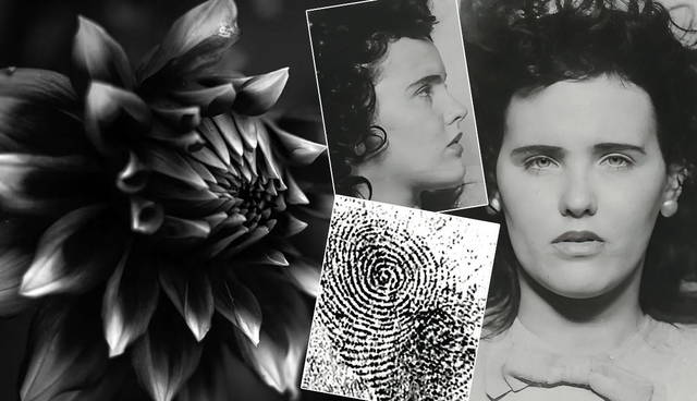 11 Shocking Facts About the Black Dahlia Case