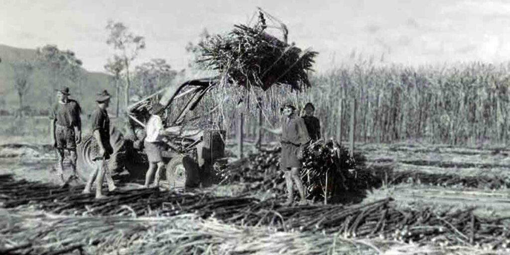 The Dark History of Australia’s Blackbirding