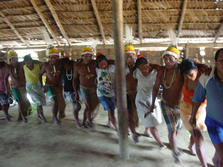 The Indigenous Architecture of the Cosmos in the Amazon