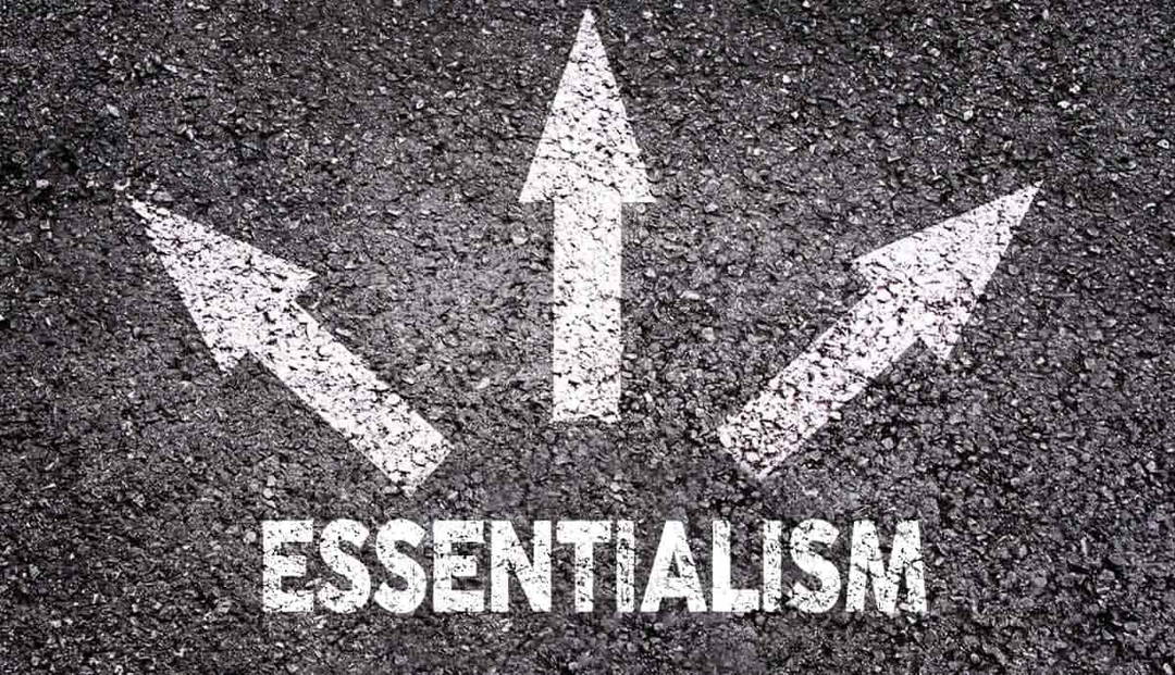 What Are the Main Themes of Modern Essentialism?