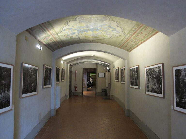 The Birthplace of Renaissance Art: Must-Visit Galleries in Florence