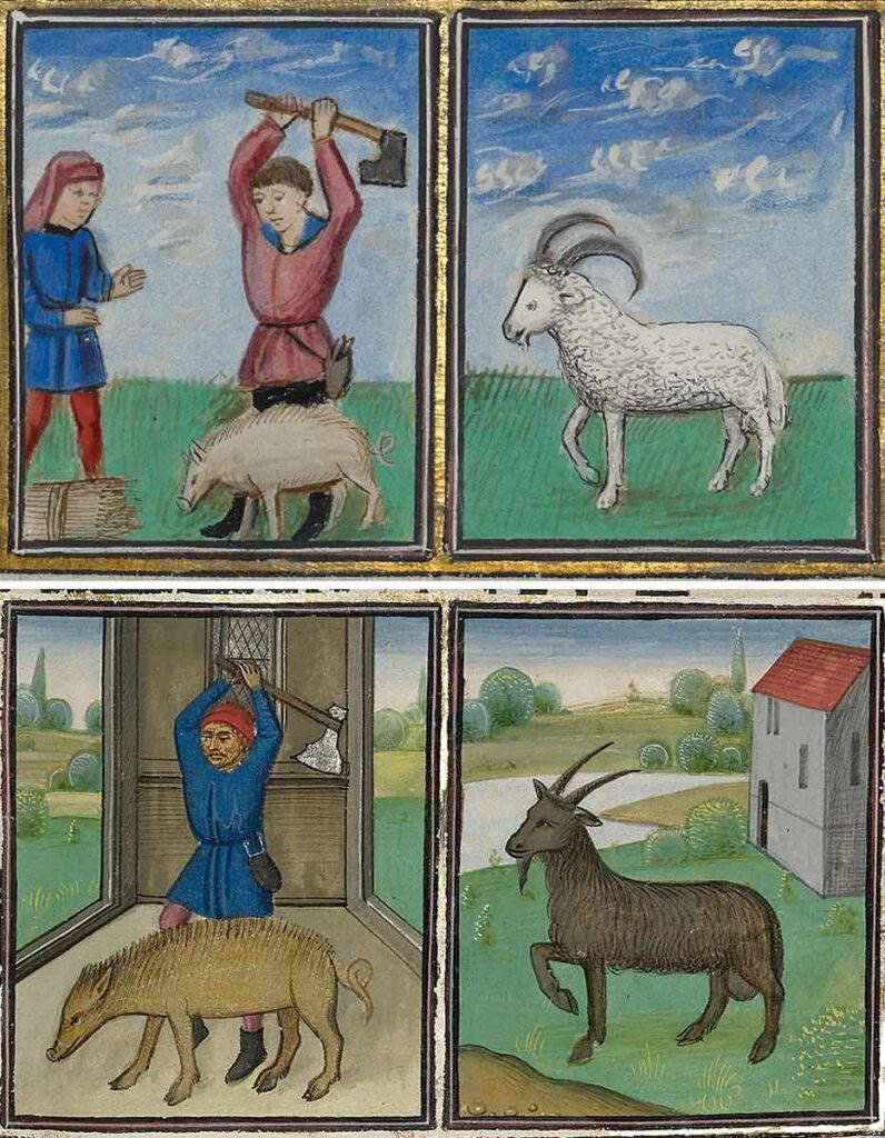 How Did a Pig End Up on Trial in the Middle Ages?