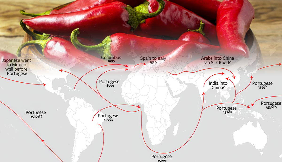 Chili Pepper’s Fiery History: The Berry That Conquered the World