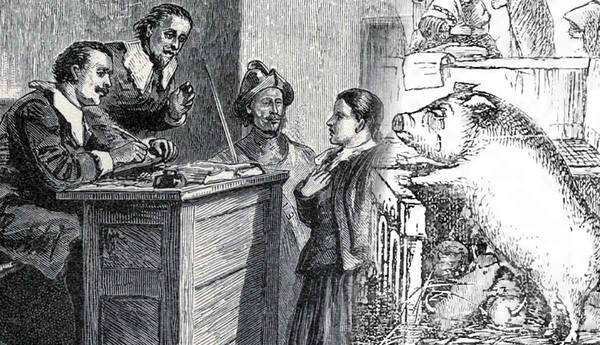 How Did a Pig End Up on Trial in the Middle Ages?