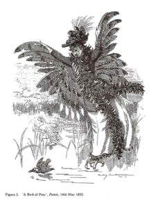 The Victorian Great Feather Craze: What Was Its Ecological Impact?