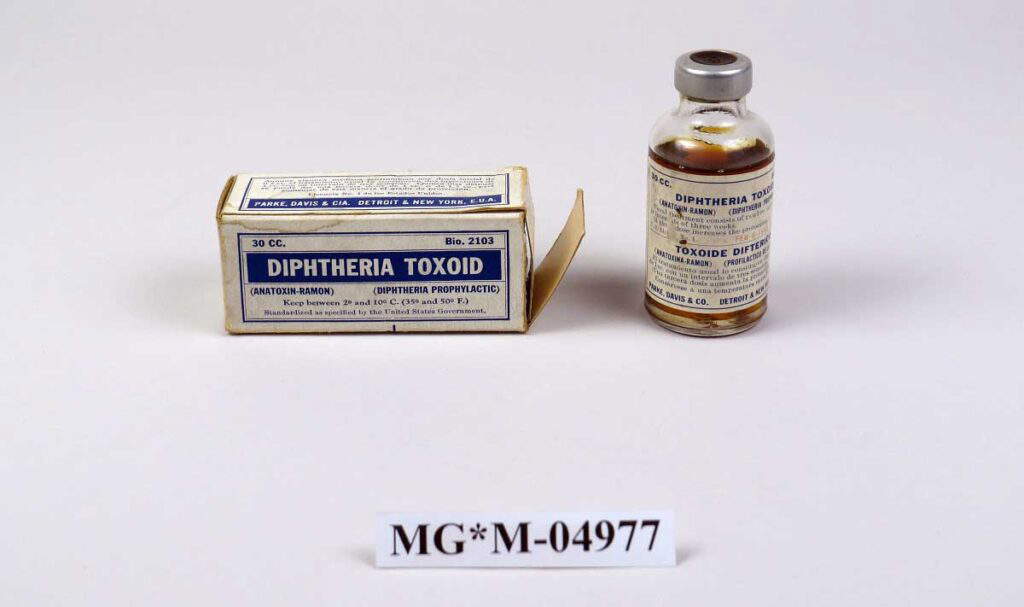 What Was the 1925 Serum Run to Nome?