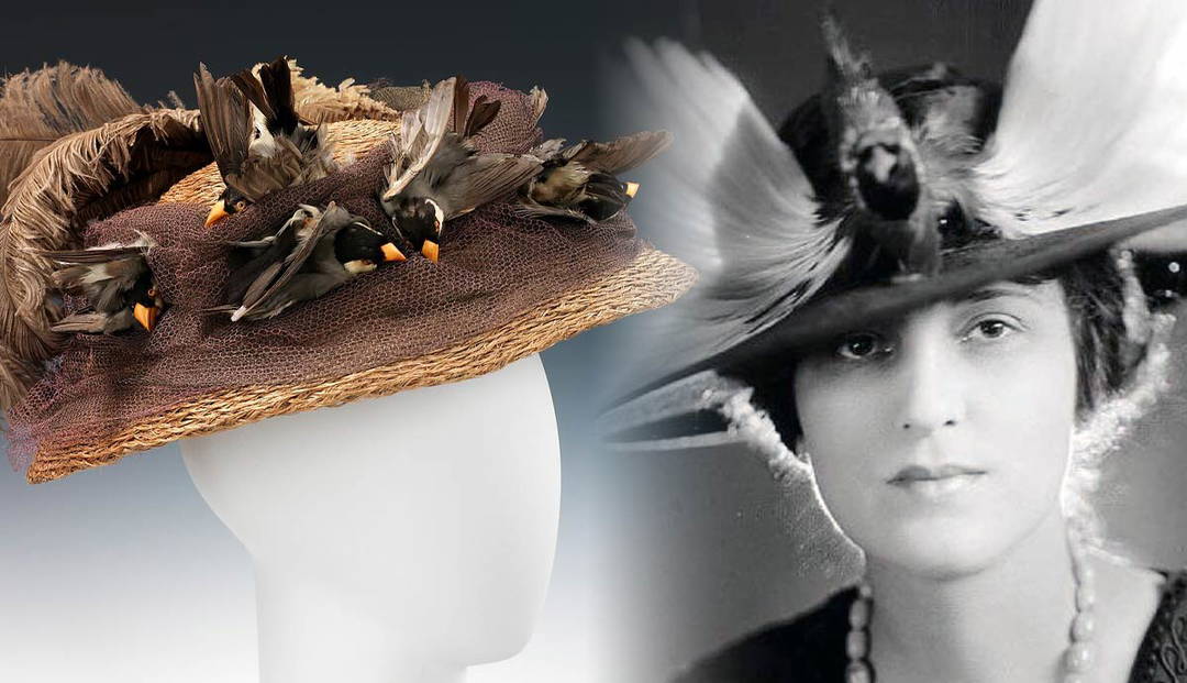 The Victorian Great Feather Craze: What Was Its Ecological Impact?