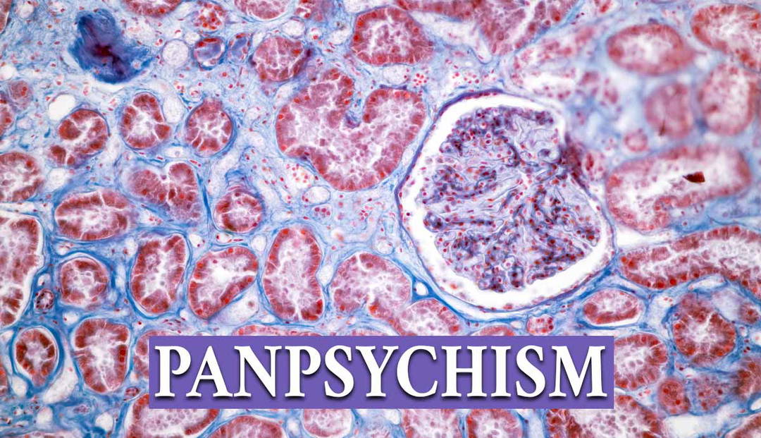 What Is Panpsychism?