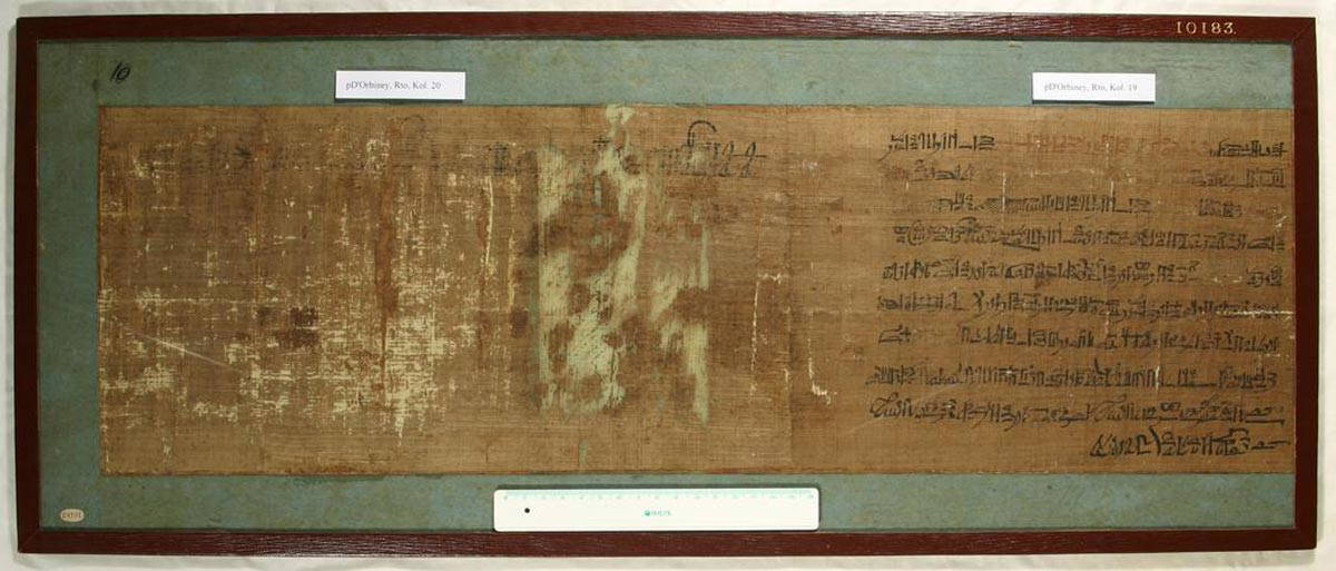 Anubis: The Secrets of the Egyptian God of the Underworld | TheCollector